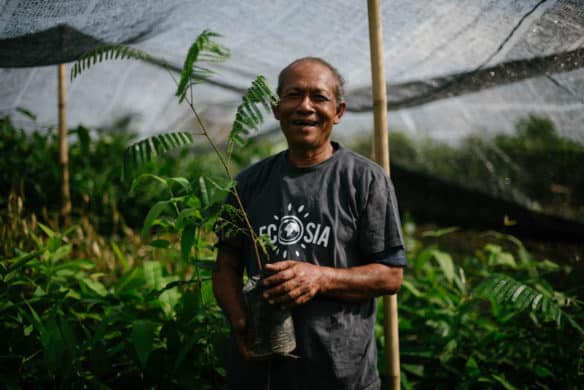 Plant Trees Every Time You Search the Internet with Ecosia / Bios Urn Blog