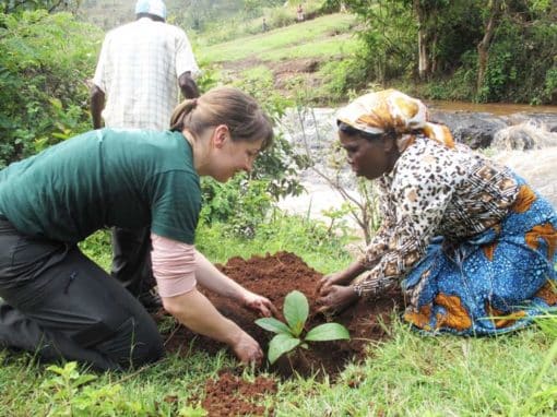 "La Reina De Los Árboles": Wangari Maathai Arriesgó Su Vida Por La ...